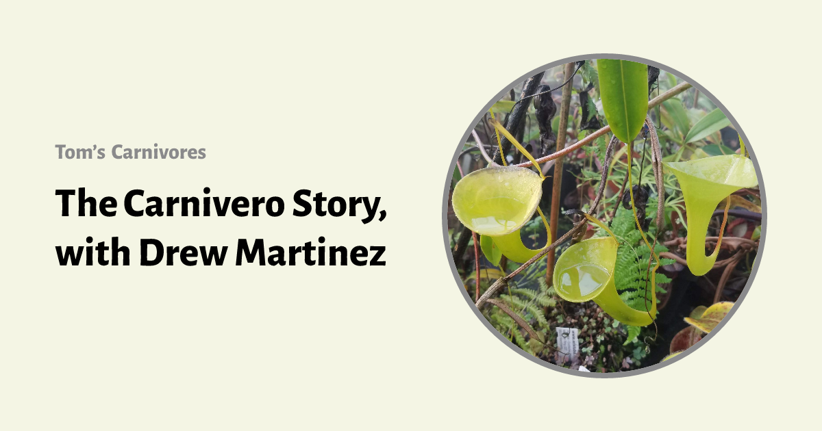 The Carnivero Story, with Drew Martinez | Tom’s Carnivores
