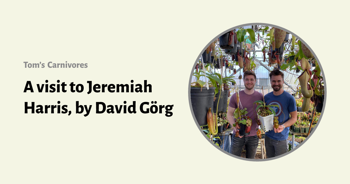 A visit to Jeremiah Harris, by David Görg | Tom’s Carnivores